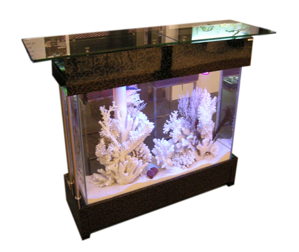 aQuatic Style Pte. Ltd. – Therapeutic | Aesthetic | Fine Living