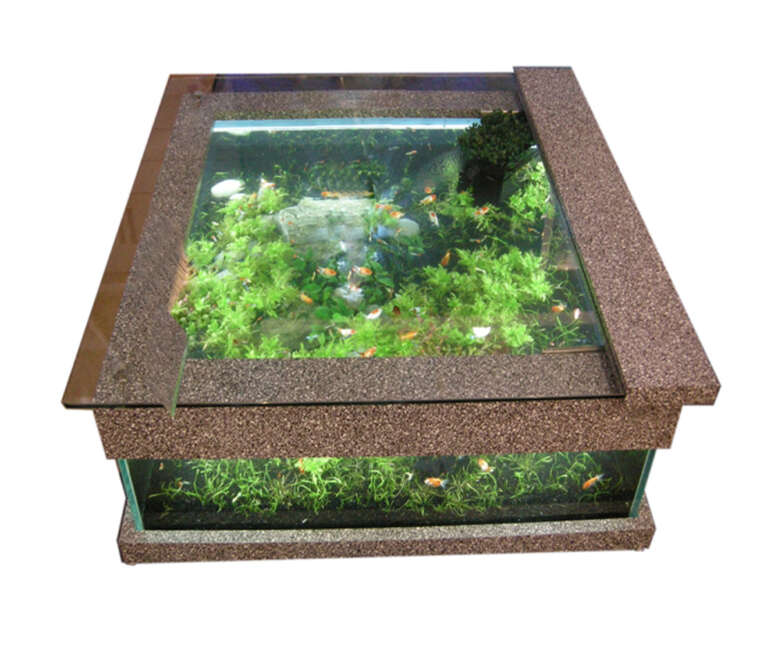 aQuatic Style Pte. Ltd. – Therapeutic | Aesthetic | Fine Living