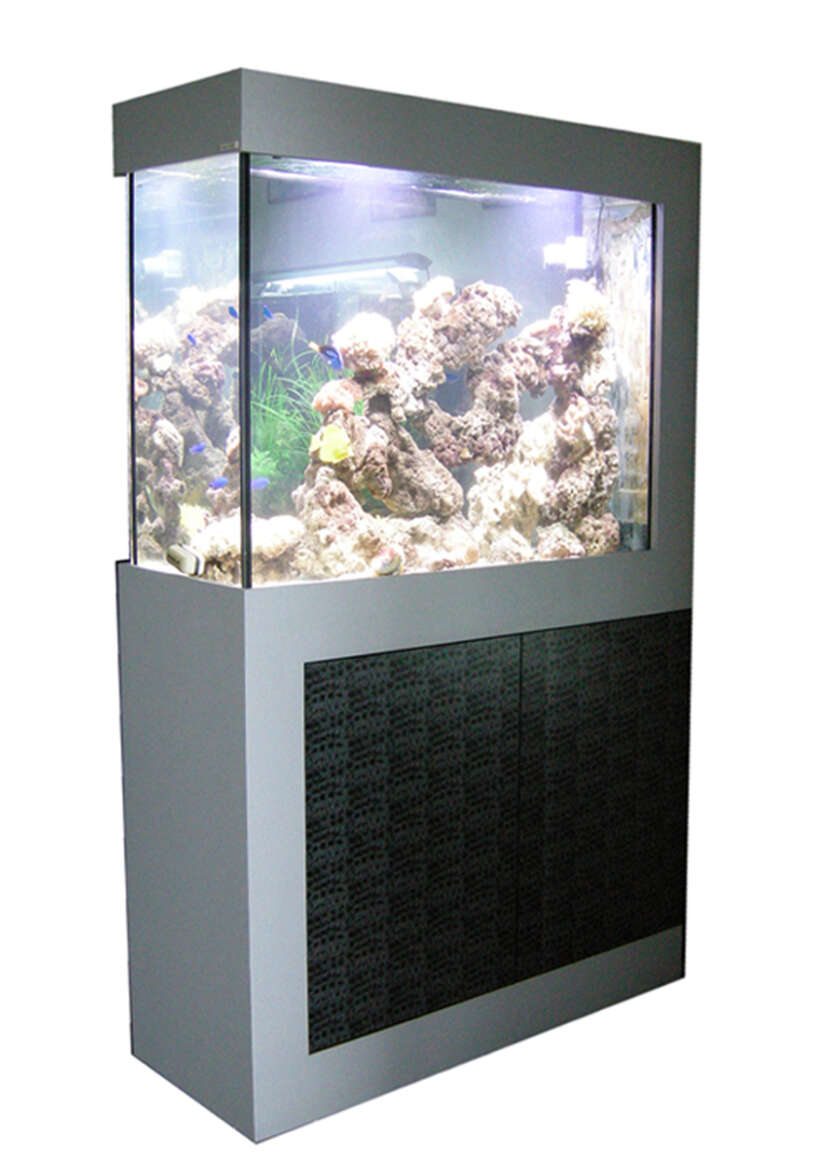 Portfolio Gallery – aQuatic Style Pte. Ltd.