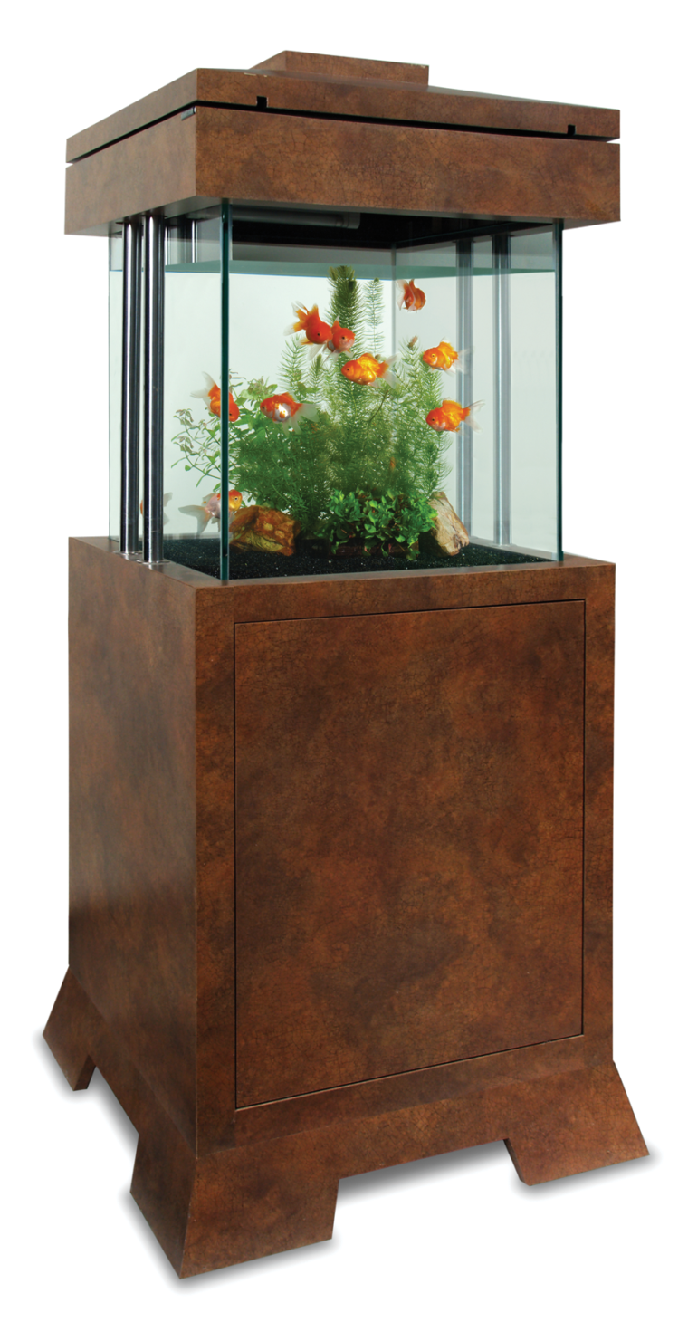 Portfolio Gallery – aQuatic Style Pte. Ltd.